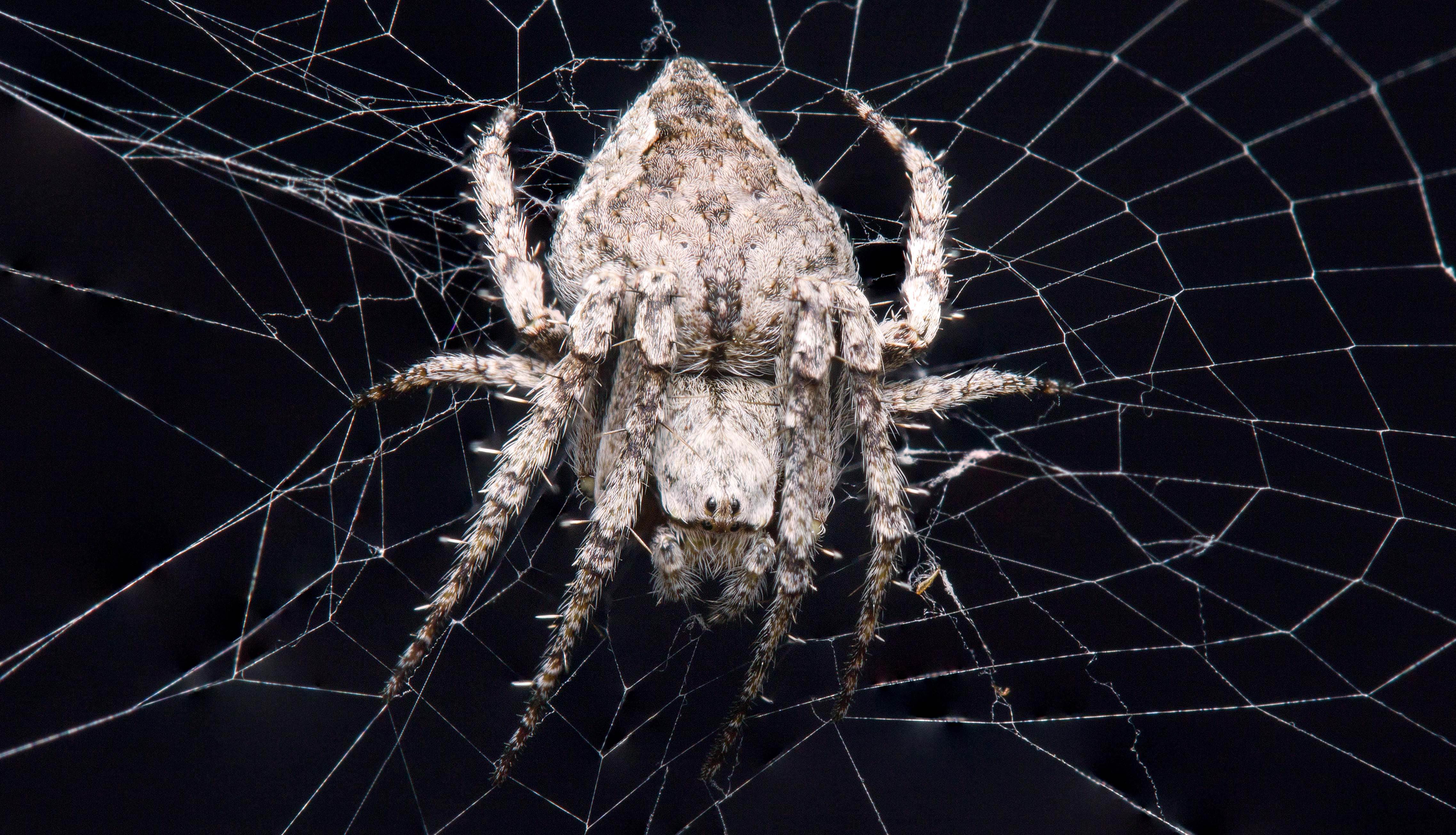 Retos | Crea imágenes inigualables y participa